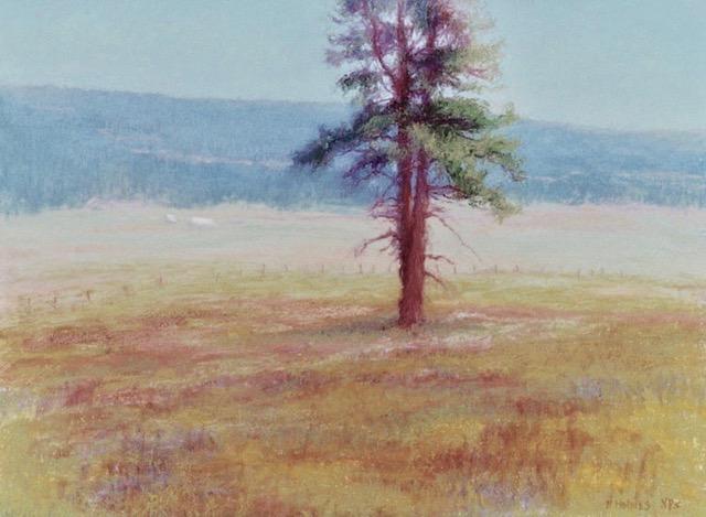 Norma Holmes – The Favell Museum